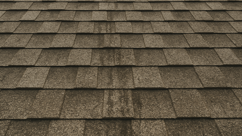 The Best Roof Cleaner For Shingles: A Comprehensive Guide – Clean ...